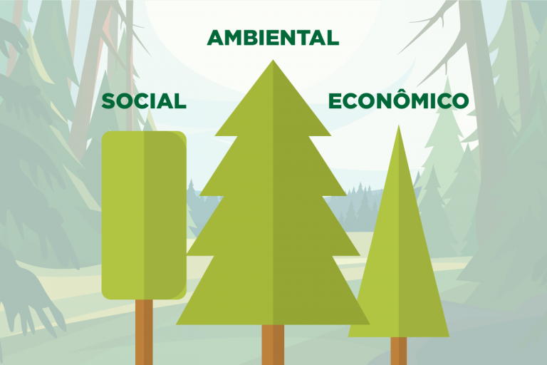 O que é selo FSC® e qual é a sua importância? – Potencial Florestal